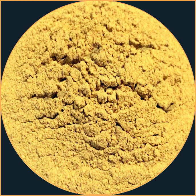 Yellow Dock Root Powder (Organic) 1oz | Alkaline Electrics
